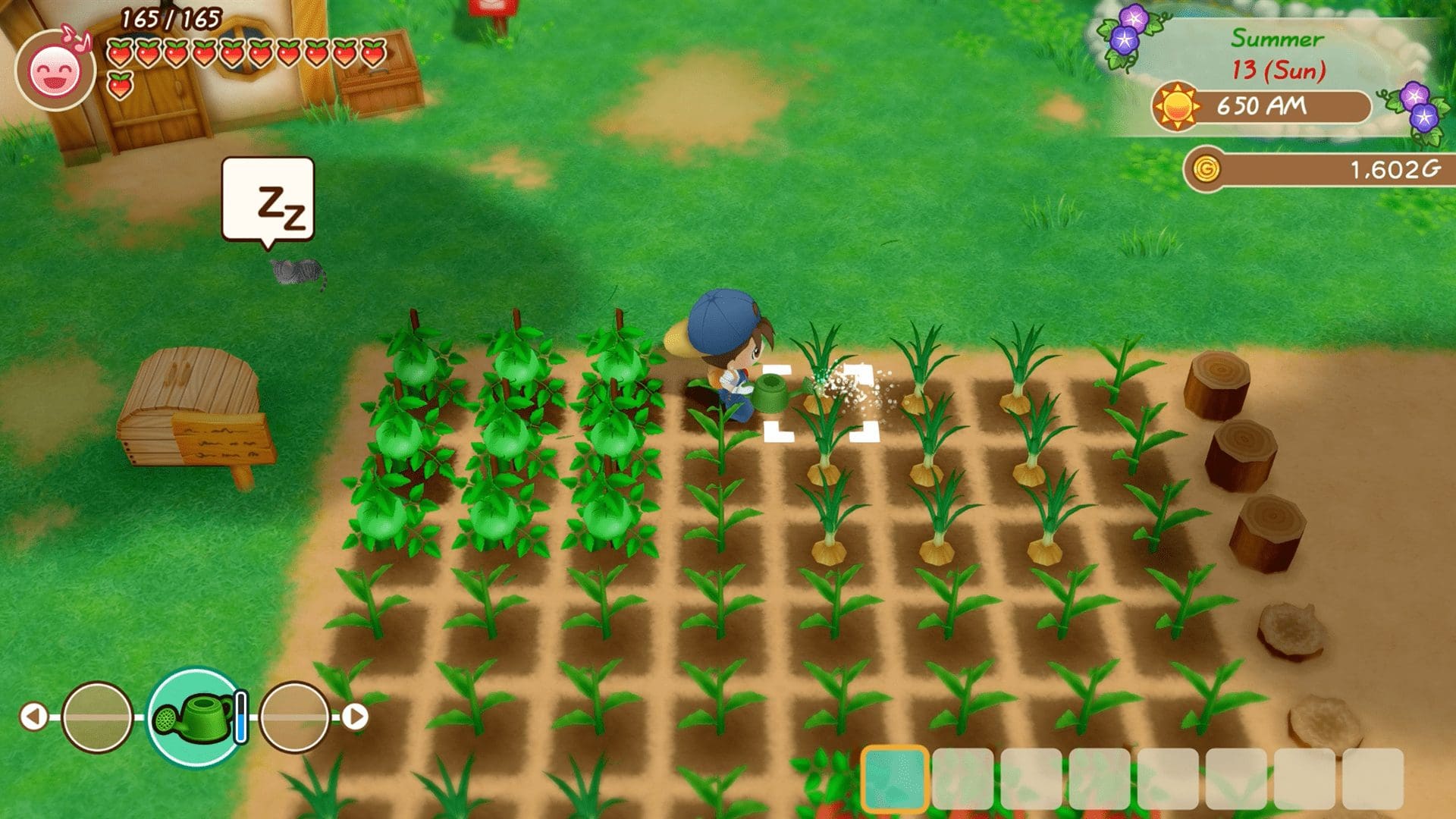 Critically Acclaimed STORY OF SEASONS: Friends of Mineral Town Lands on ...