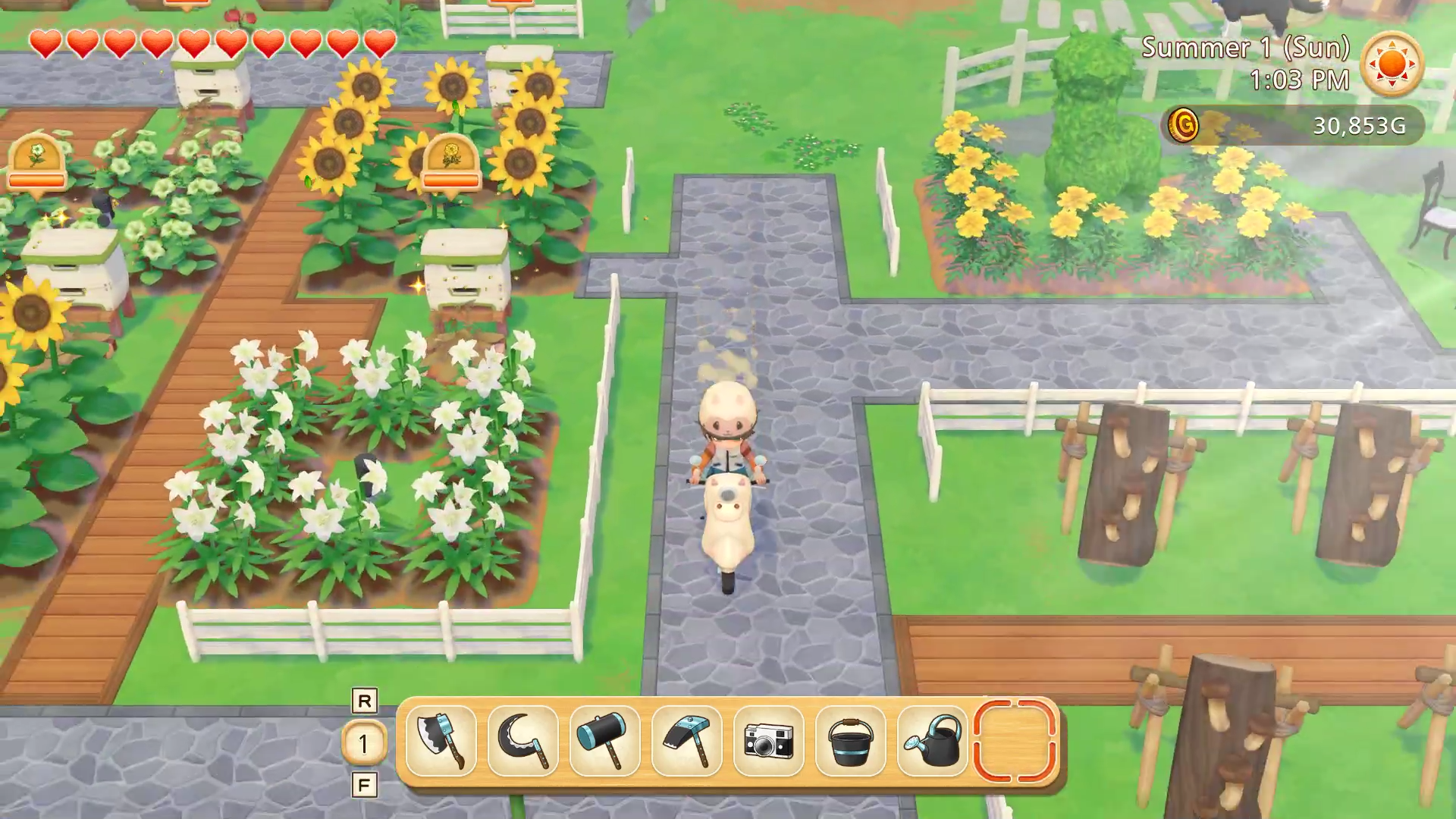 Story of seasons friends of mineral town release store